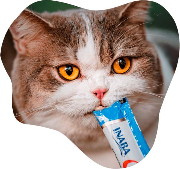 INABA México – Snacks súper premium para mascotas